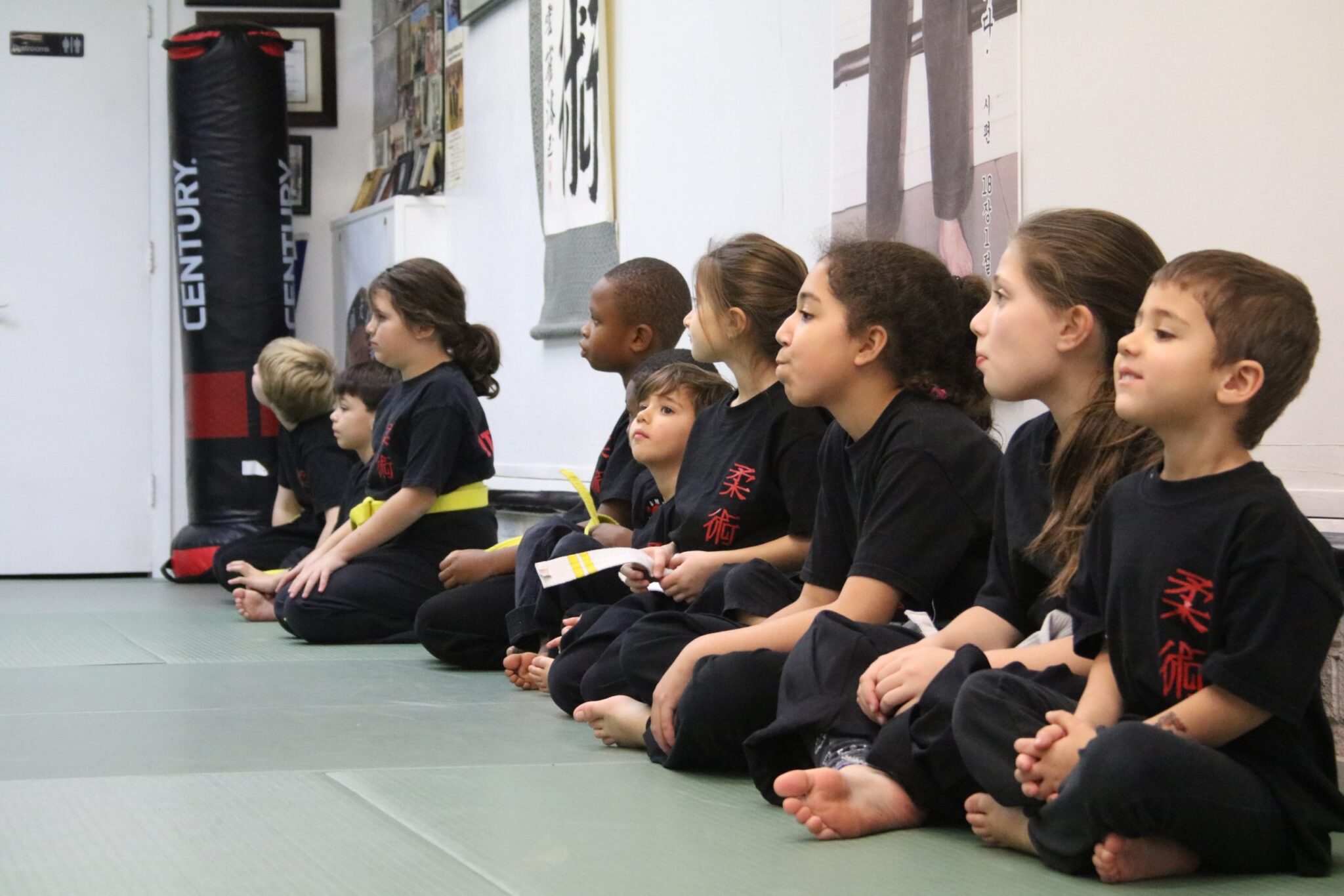 Japanese Jujutsu - Martial Arts Training Washington DC