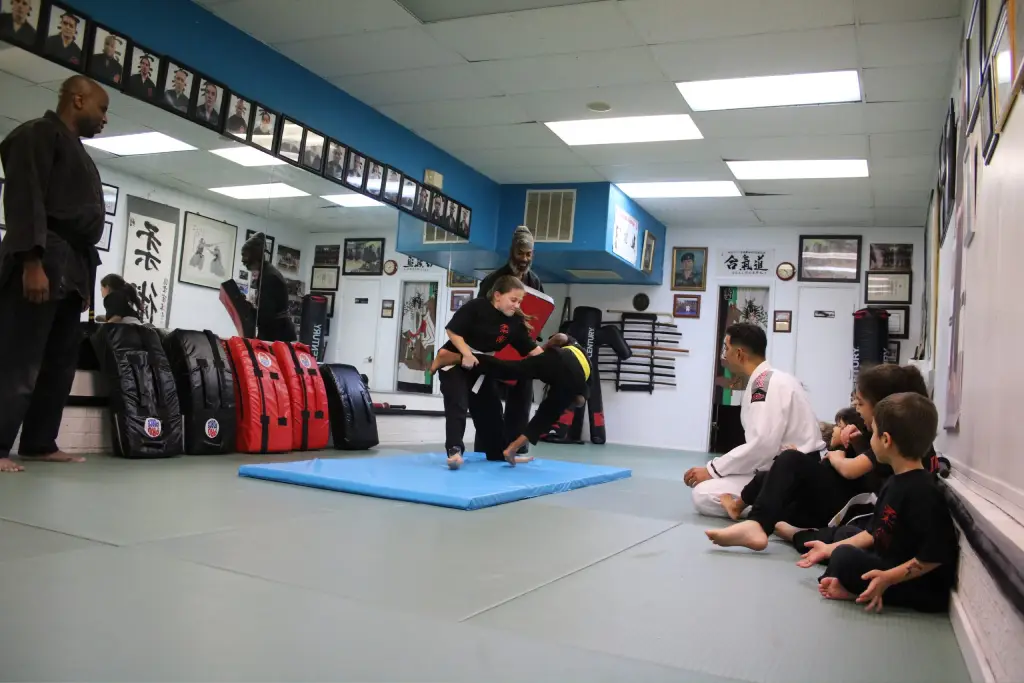 Little Samurai Program - JTR Jujutsu Int